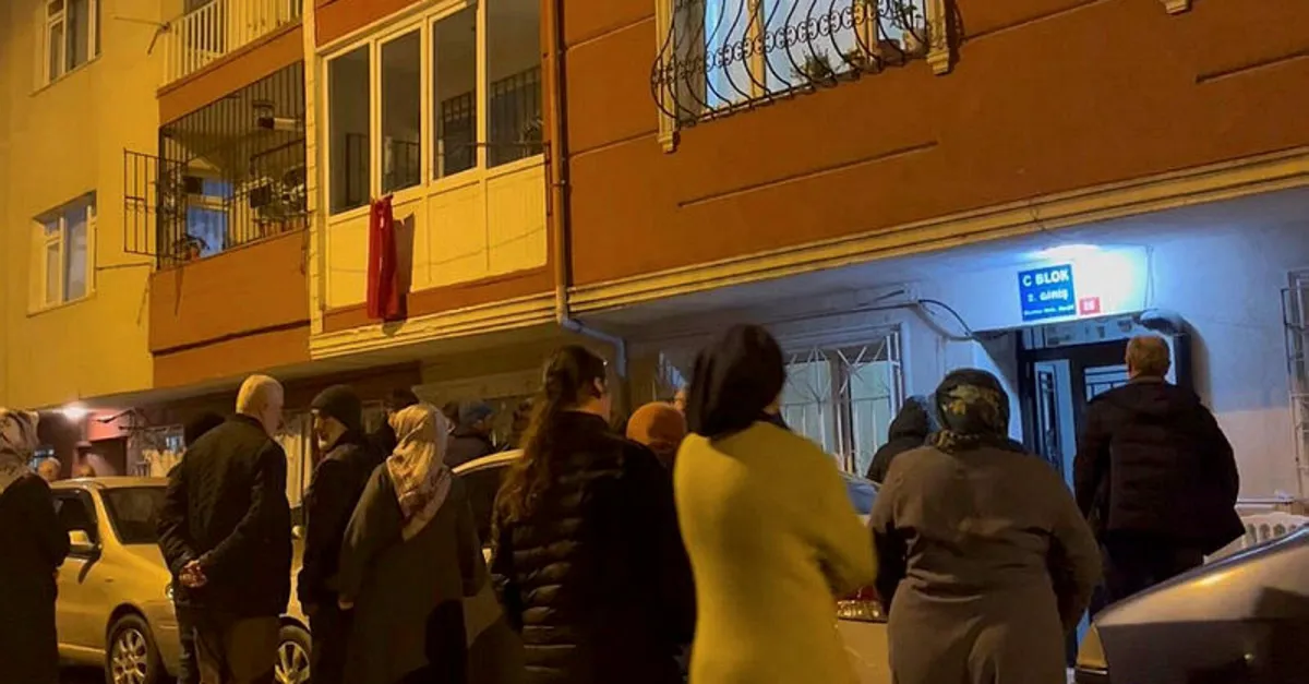 Cinnet getiren genç annesini bıçakladı - Yaşam Haberleri