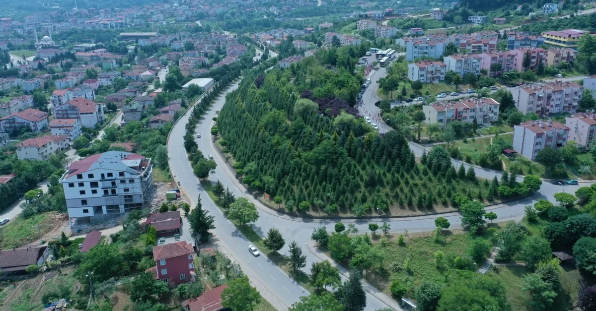 Kocaeli’de yeşil alan 32 kat arttı - Kocaeli Haberleri