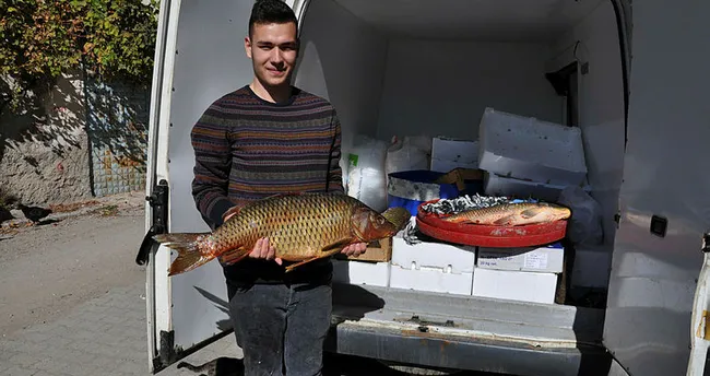 15 kiloluk Sazan balığı pazarın gözdesi - Egeli Sabah Haberleri