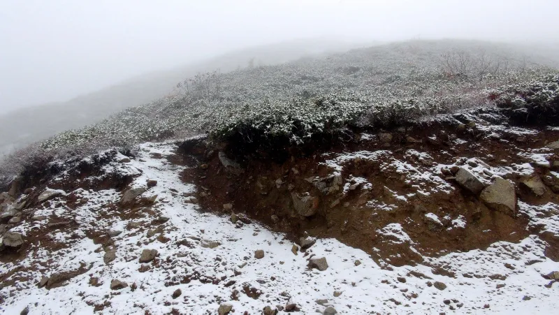 Rize'de kar yağışı! - Galeri - Yaşam