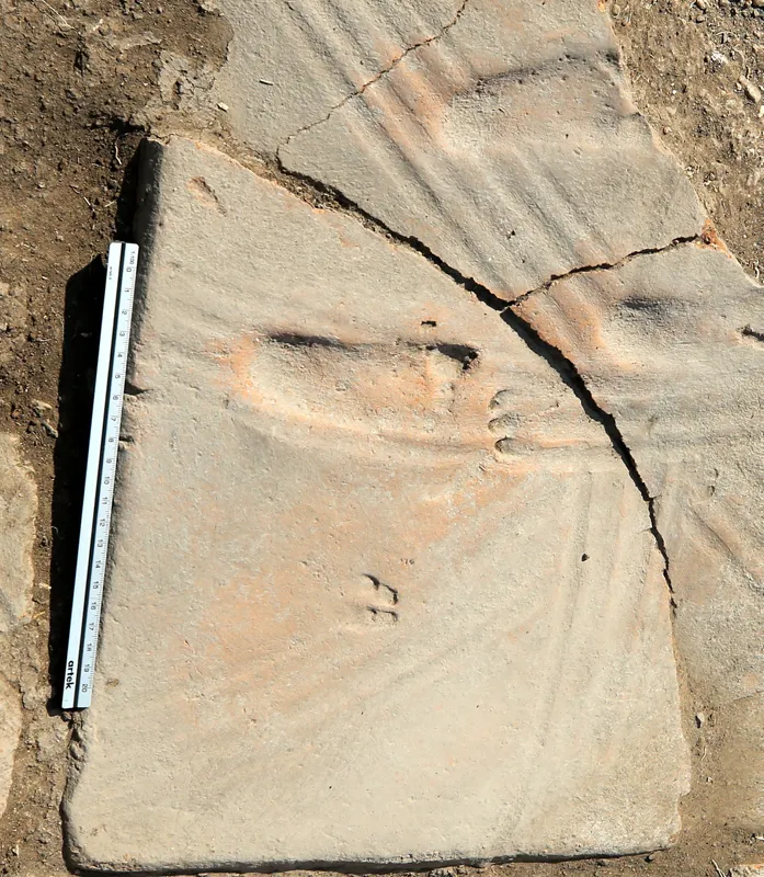 Çanakkale Assos'ta bulundu: Tam 1300 yıllık! - Galeri - Yaşam