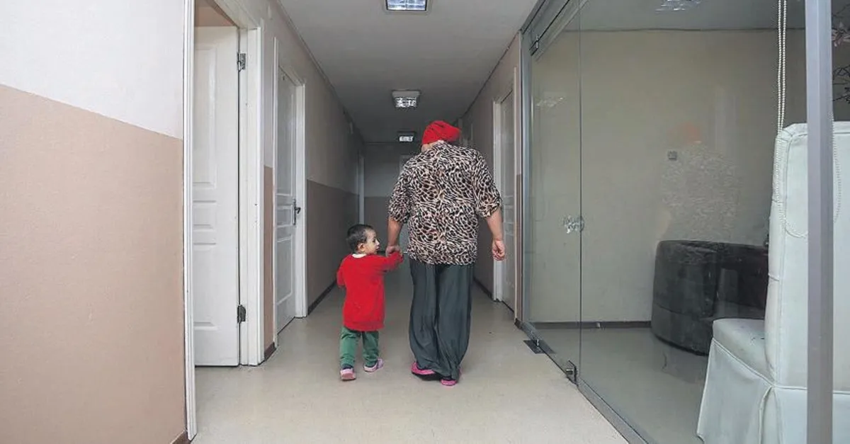 Papatyalar umut kırmızı kuş özlem - Yaşam Haberleri