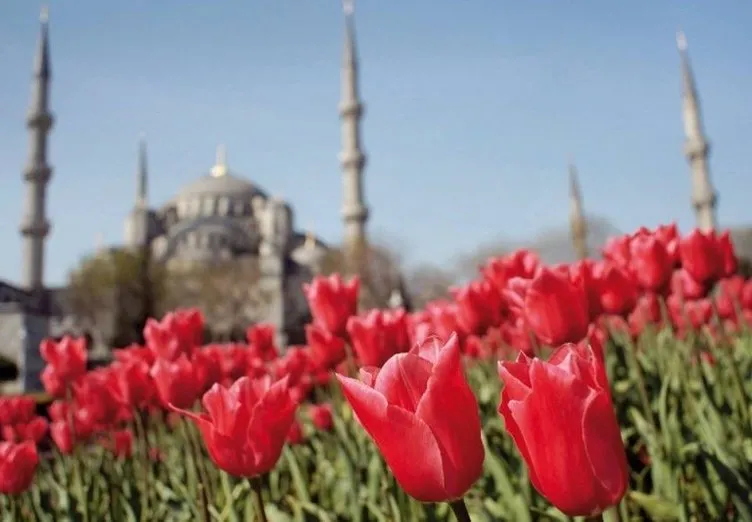 İstanbul'da lale devri! - Galeri - Kültür Sanat İstanbul'da lale devri! - Galeri - Kültür Sanat