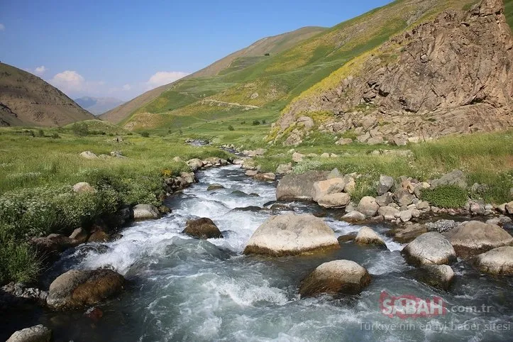 Ardahan Piknik Alanları - Ardahan'da Gidilecek Piknik Yerleri ve Mesire ... Ardahan Piknik Alanları - Ardahan'da Gidilecek Piknik Yerleri ve Mesire ...
