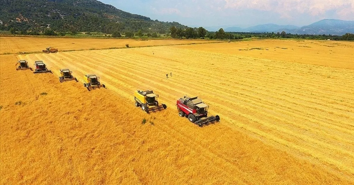 TMO Yozgat genelinde 800 bin ton hububat alımı gerçekleştirdi - Ekonomi ... TMO Yozgat genelinde 800 bin ton hububat alımı gerçekleştirdi - Ekonomi ...