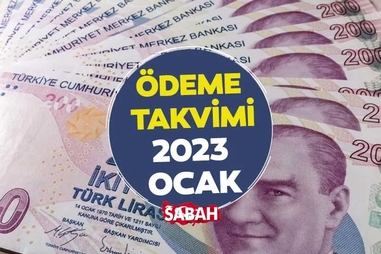 Aile Destek Programı ödemeleri yattı mı, ne zaman, hangi tarihte ...