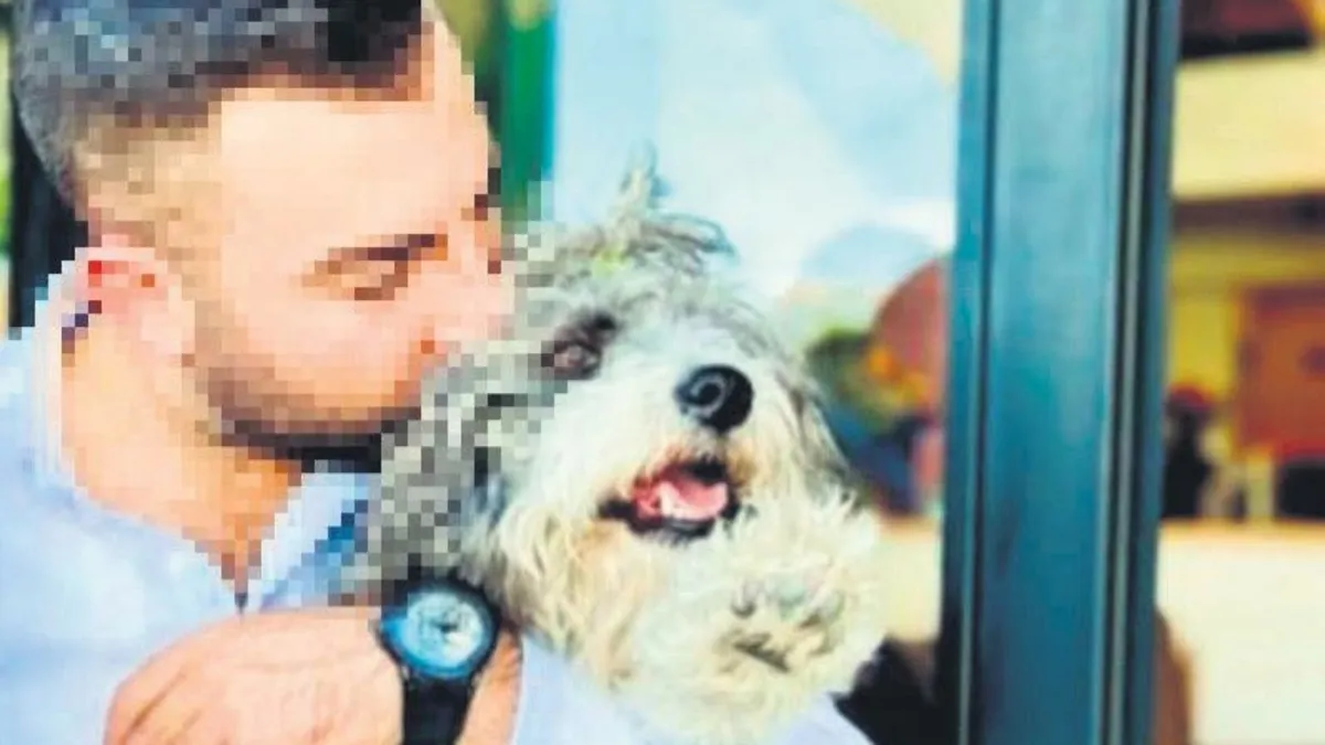 Çakma veterinere 10 yıl hapis talebi - Yaşam Haberleri