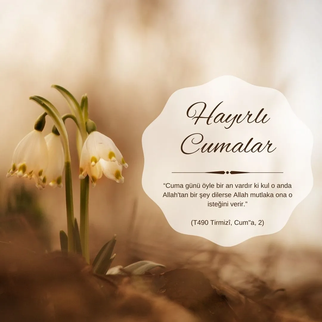 RESİMLİ CUMA MESAJI VE SÖZLERİ 2024: En güzel Hayırlı Cumalar mesajları ...