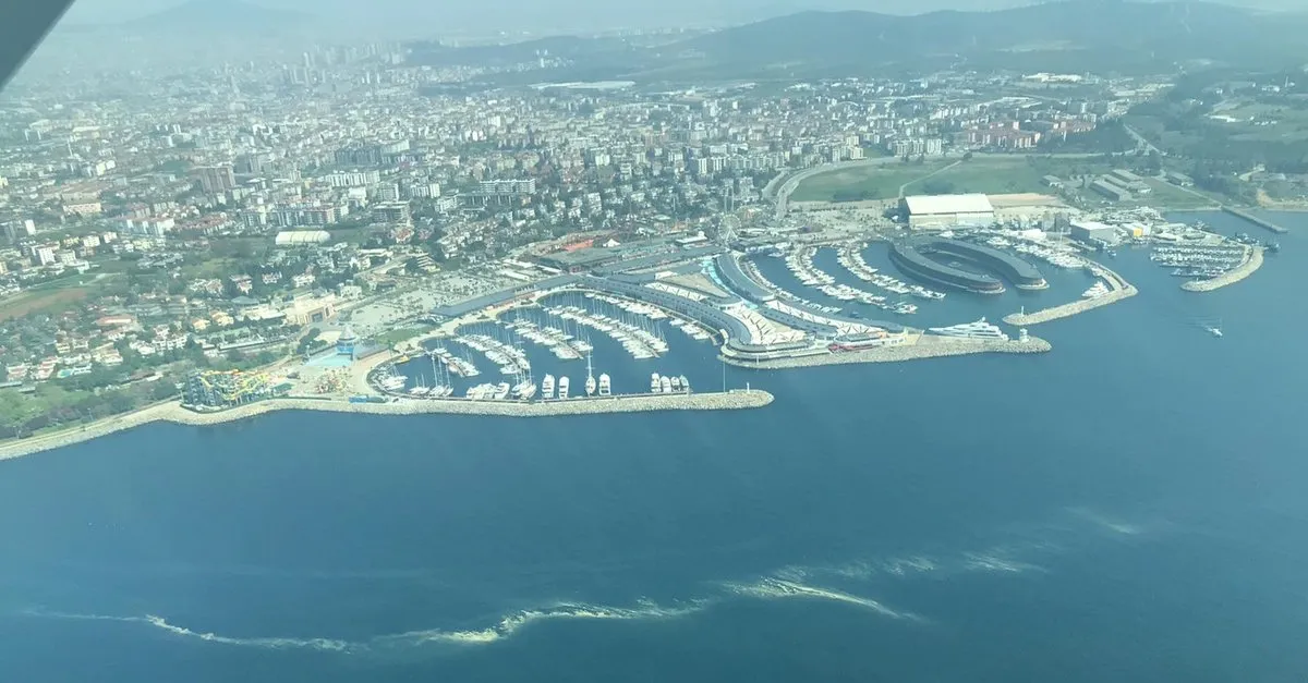 Kâbus geri mi döndü? Marmara'da tekrar müsilaj görülecek mi? - Yaşam ... Kâbus geri mi döndü? Marmara'da tekrar müsilaj görülecek mi? - Yaşam ...