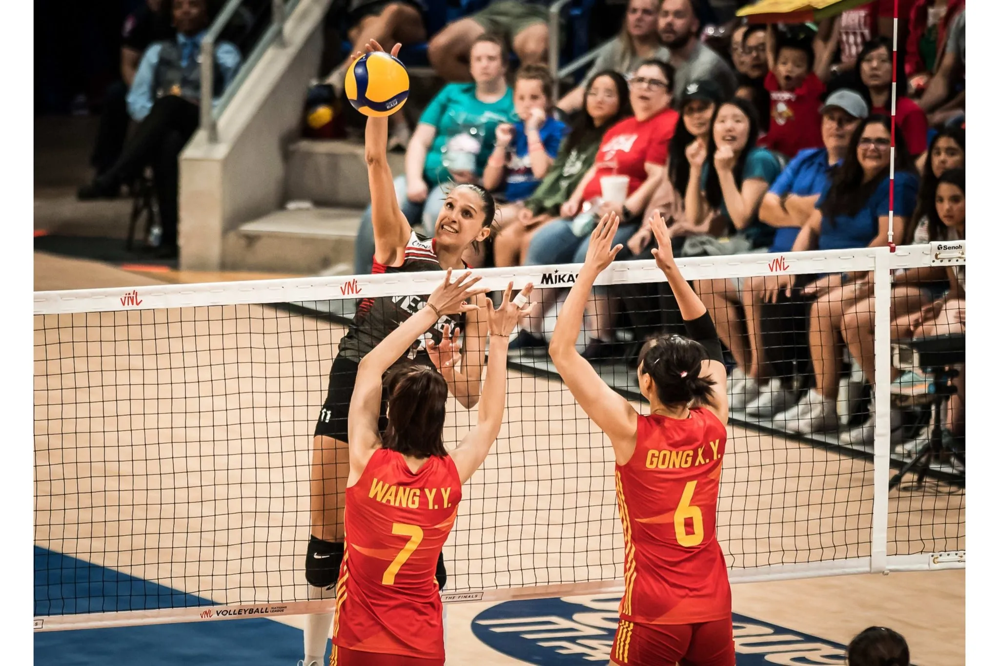 Türkiye Kadınlar voleybol maç takvimi 2023: Filenin Sultanları CEV ...