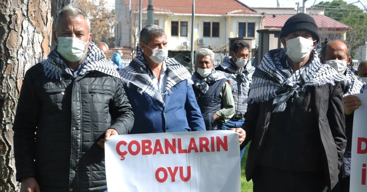 Seçme ve seçilme hakkımızı her yerde arayacağız - Yaşam Haberleri