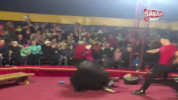 Sirkte gösteri yapan ayı, terbiyecisine saldırdı videosunu izle | Son ... Sirkte gösteri yapan ayı, terbiyecisine saldırdı videosunu izle | Son ...