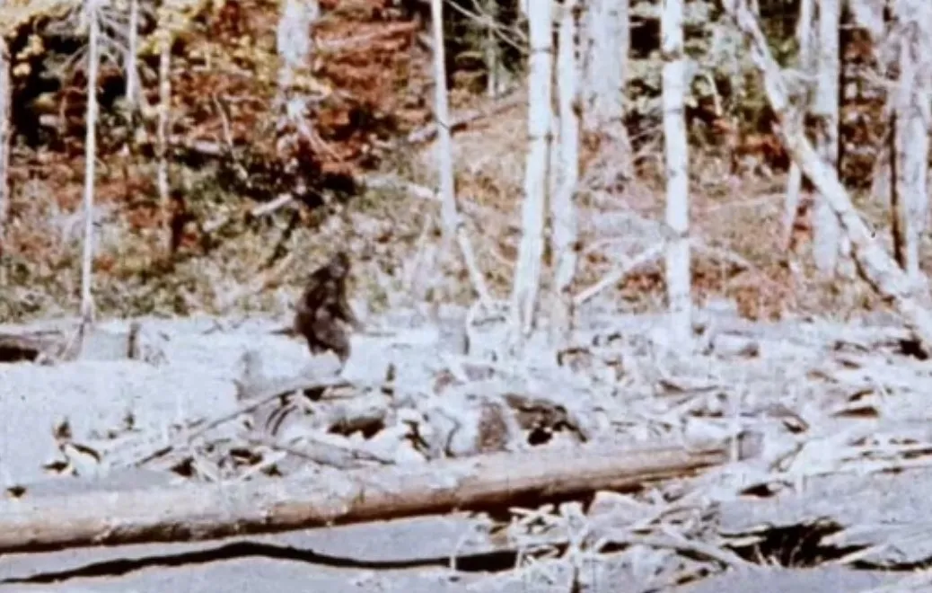 Kocaayak gerçekten var mı? - Son Dakika Haberler