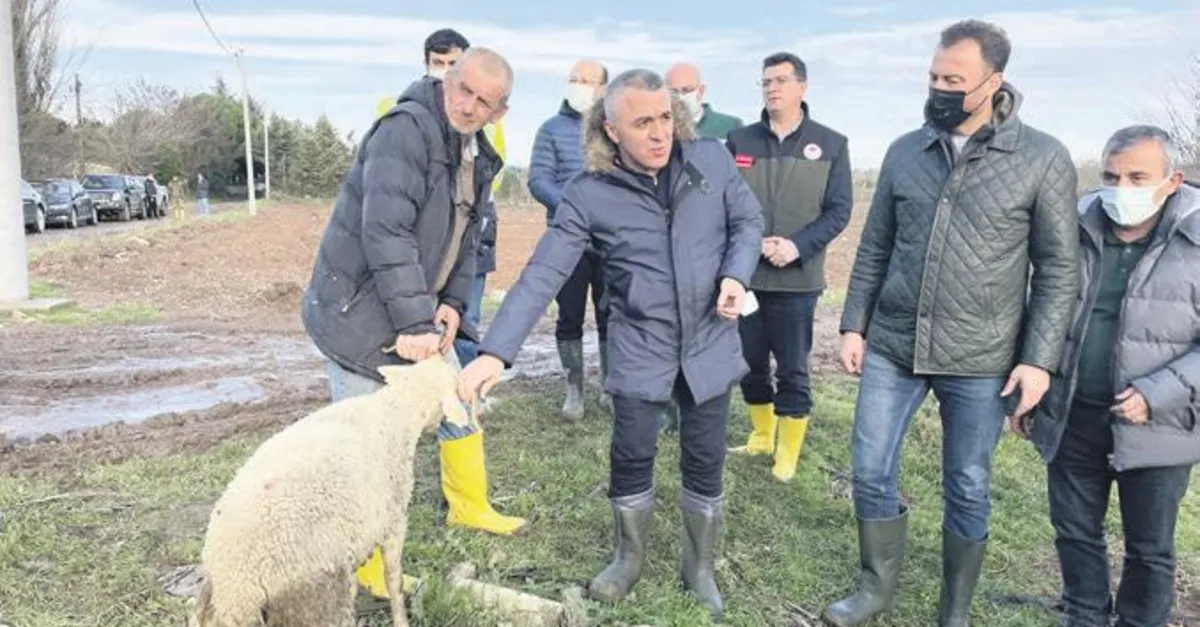 Koyunları telef olan çiftçiye hediye - Yaşam Haberleri