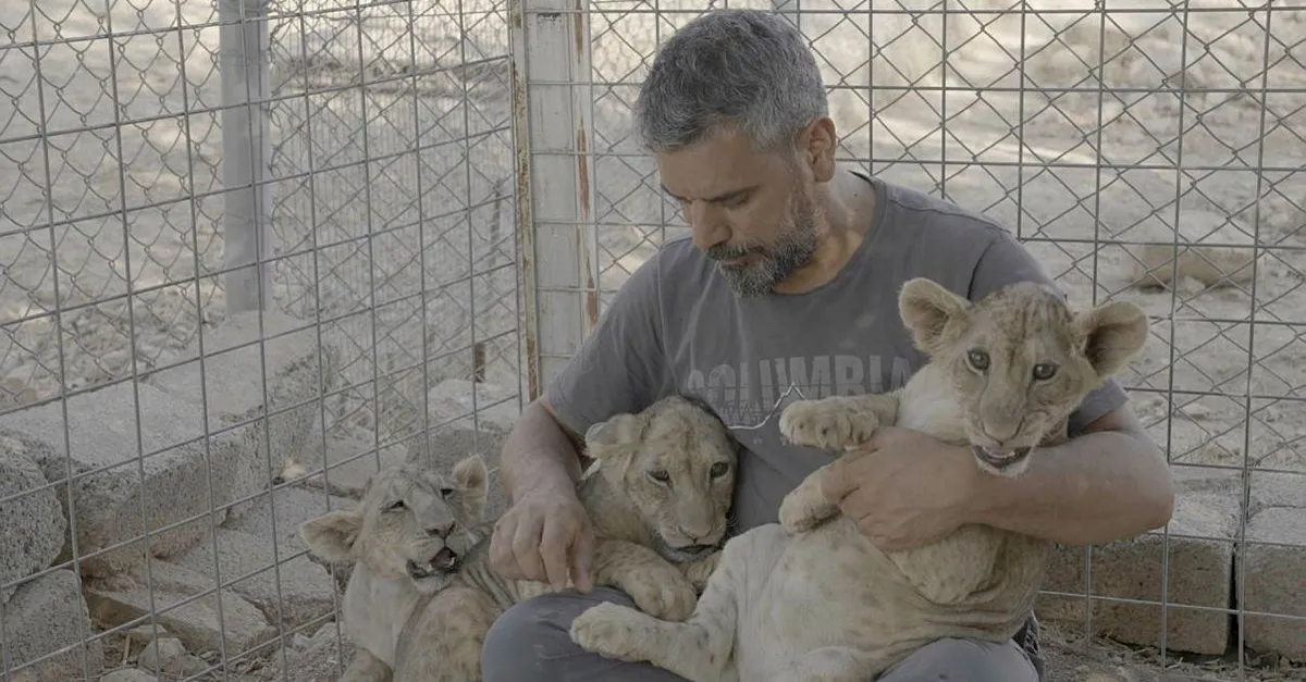 İnsan ile aslanın eşsiz uyumu - Yaşam Haberleri