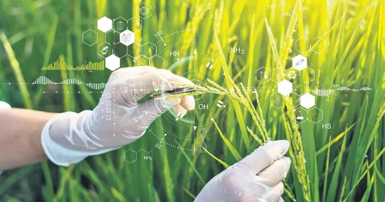 Tarımsal Ar-Ge’ye 1.3 milyar lira destek - Ekonomi Haberleri