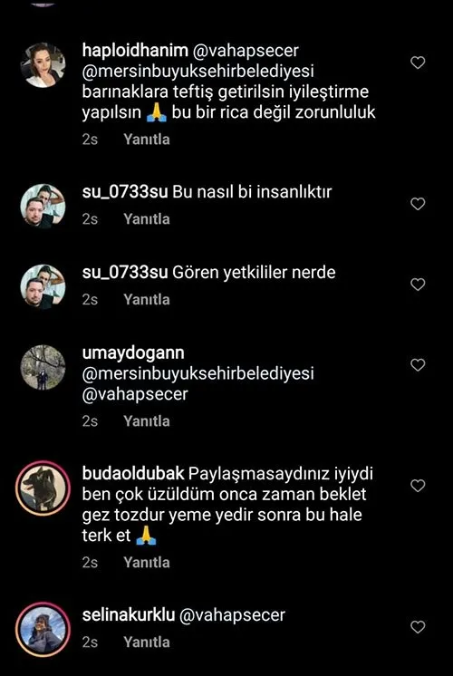 CHP'li Mersin Büyükşehir Belediyesi'ne ait hayvan barınağında vahşet ...