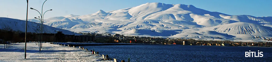 Bitlis Haber - Son Dakika Bitlis Haberleri