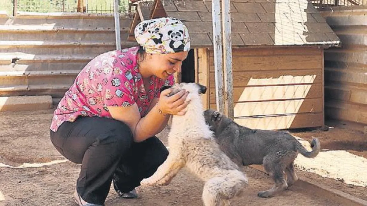 Öncelik insan hayvan ve çevre sağlığı - Son Dakika Haberler