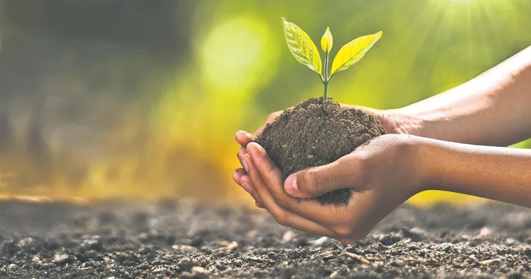 Her şey vaktini bekler - Pazar Sabah Haberleri