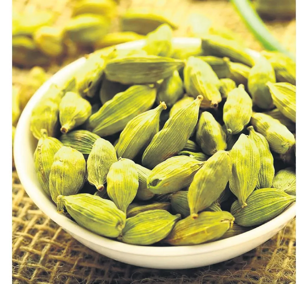 Kakule lezzeti - İDİL AÇIKALIN