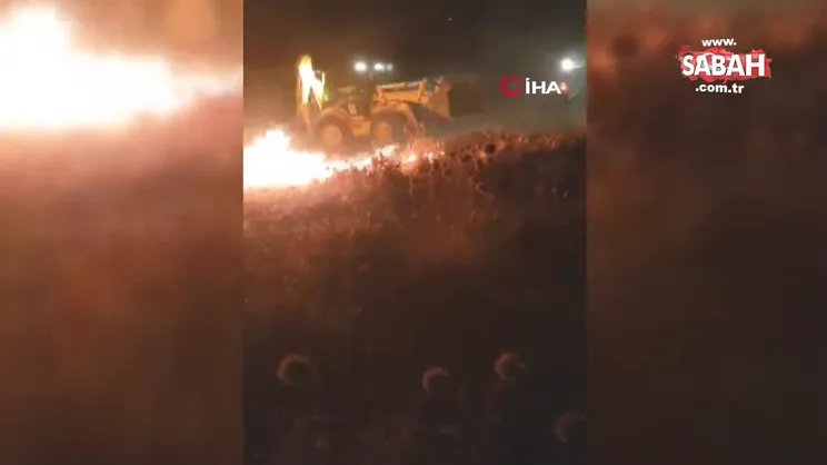 Varto’da anız yangını! | Video videosunu izle | Son Dakika Haberleri