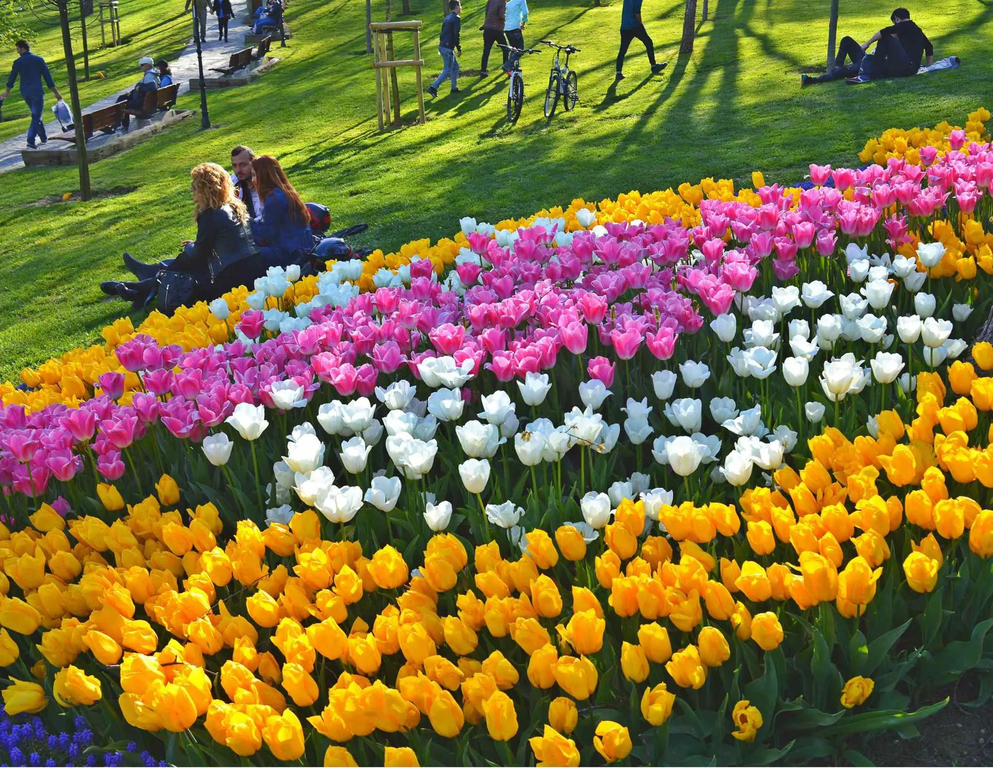 İstanbul'da lale devri! - Galeri - Kültür Sanat