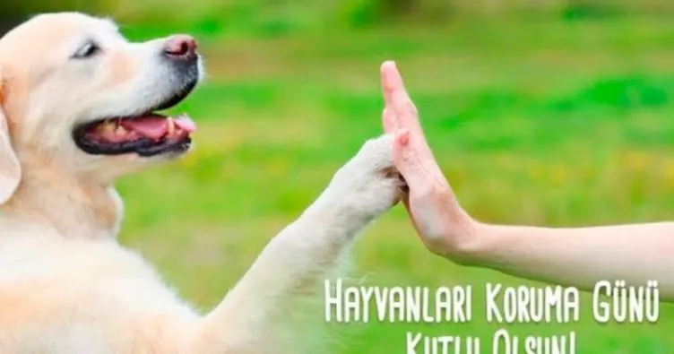 Dünya Hayvanları Koruma Günü nedir, ne zaman ortaya çıktı? 4 Ekim ... Dünya Hayvanları Koruma Günü nedir, ne zaman ortaya çıktı? 4 Ekim ...
