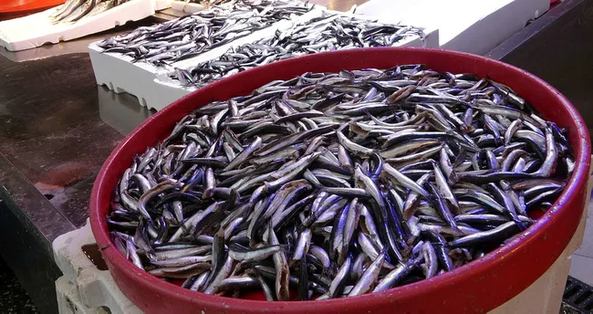 Trabzon'da hamsi tezgahları doldurdu - Ekonomi Haberleri