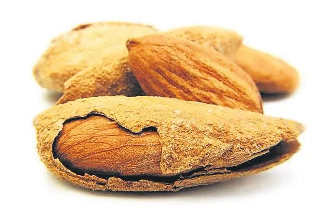 Badem - MELİH ALTINOK