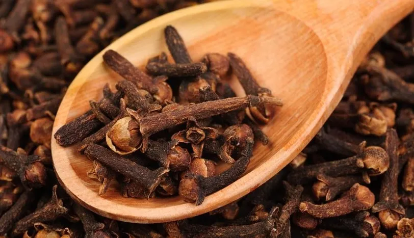 Karanfil - Baharat - Sofra