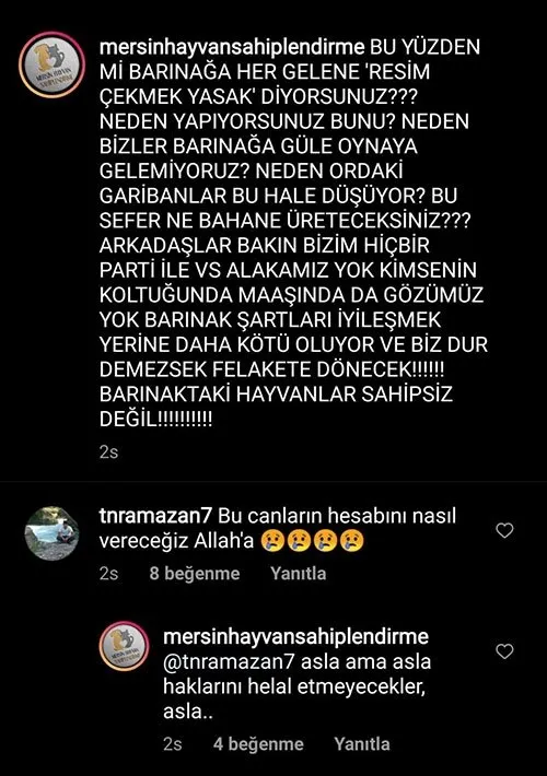 CHP'li Mersin Büyükşehir Belediyesi'ne ait hayvan barınağında vahşet ...