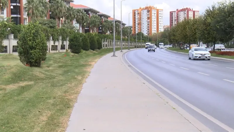 İstanbul’da kahreden ölüm: Köpeklerden kaçan çocuğu araba çarptı ...