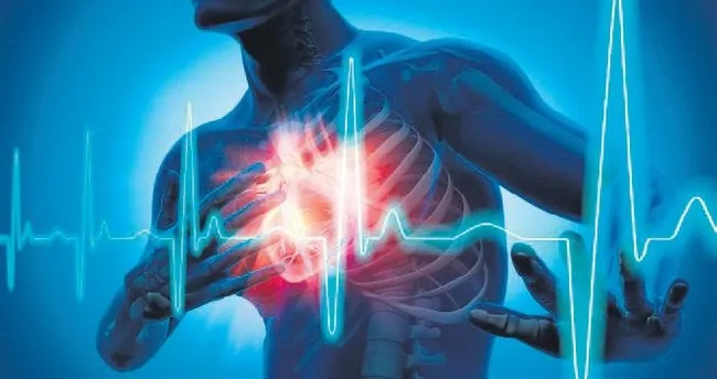 Canlı insan kalbi geliştirildi - Yaşam Haberleri