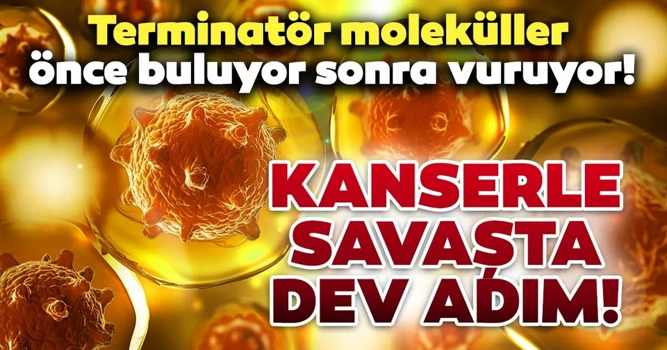 Terminatör moleküller kansere savaş açıyor! Kanserli hücreyi önce ... Terminatör moleküller kansere savaş açıyor! Kanserli hücreyi önce ...