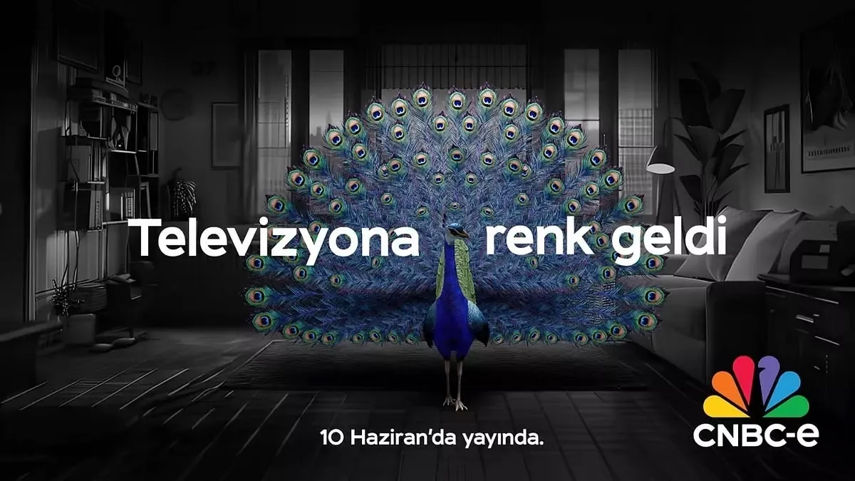 CNBC-e Türkiye frekans bilgileri 2024: Tekrar yayın hayatına başladı ...